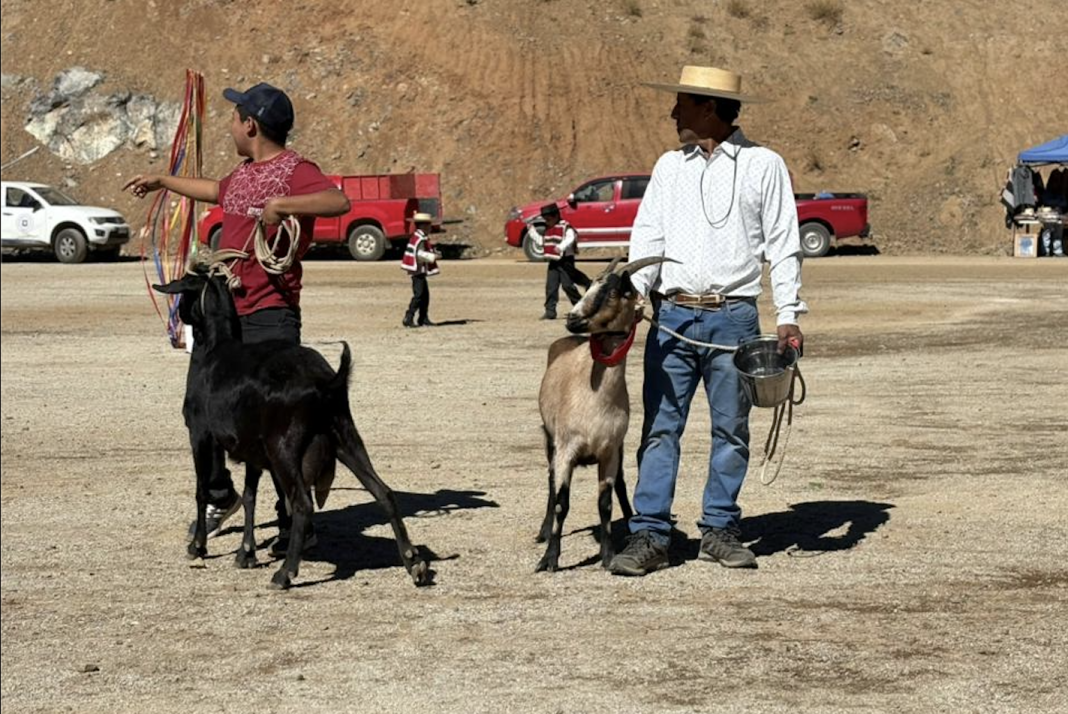 La 2ª Fiesta Comunal del Criancero celebró tradiciones y patrimonio ...